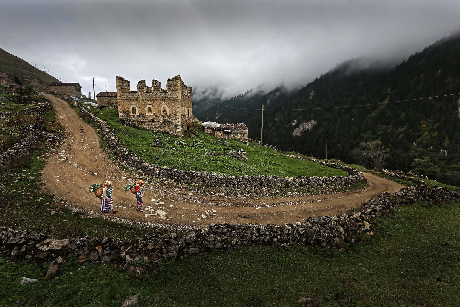 Fotoğraf: Mustafa Zengin