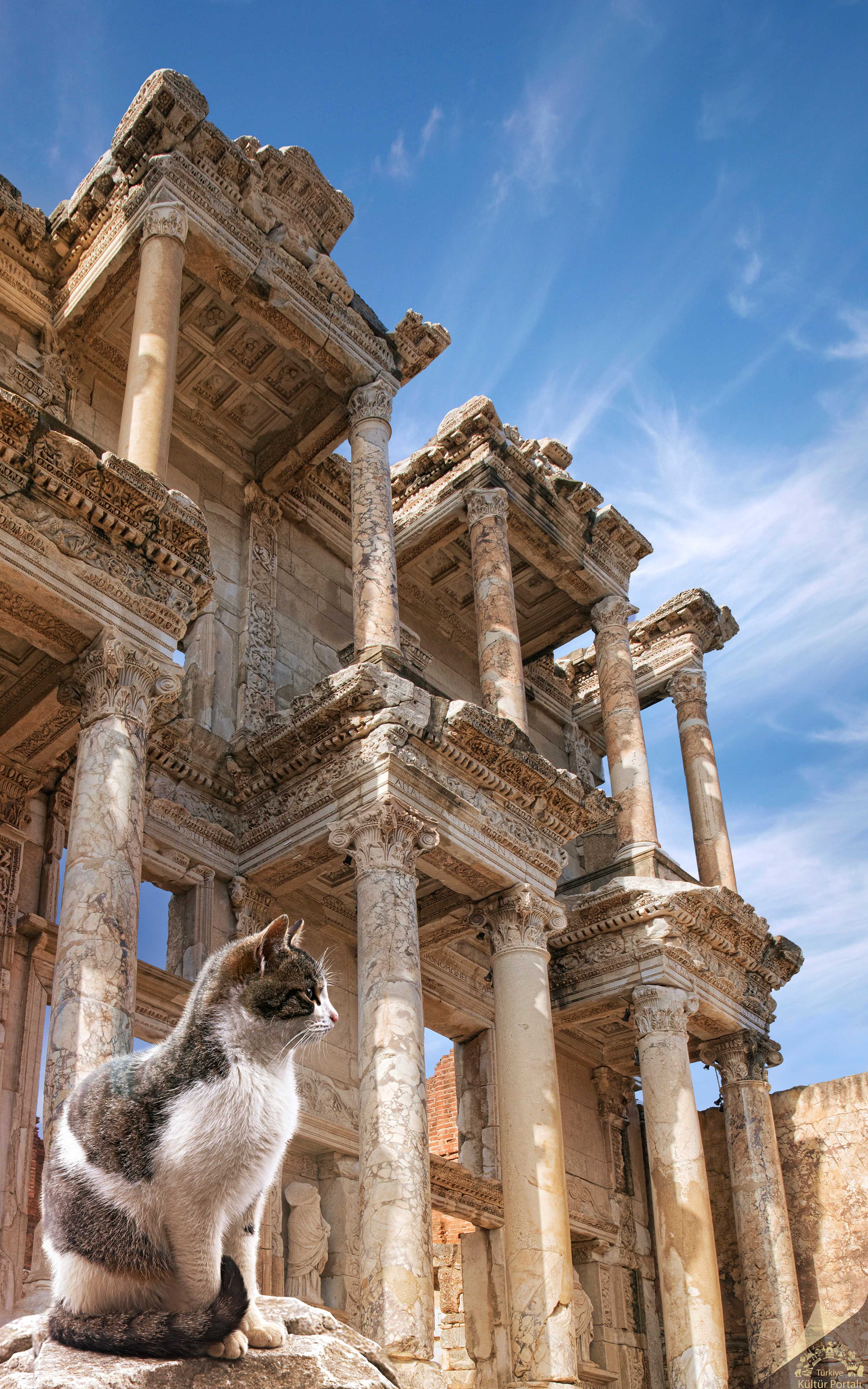 Efes Celsus Kütüphanesi - Kültür Portalı - Medya Kütüphanesi