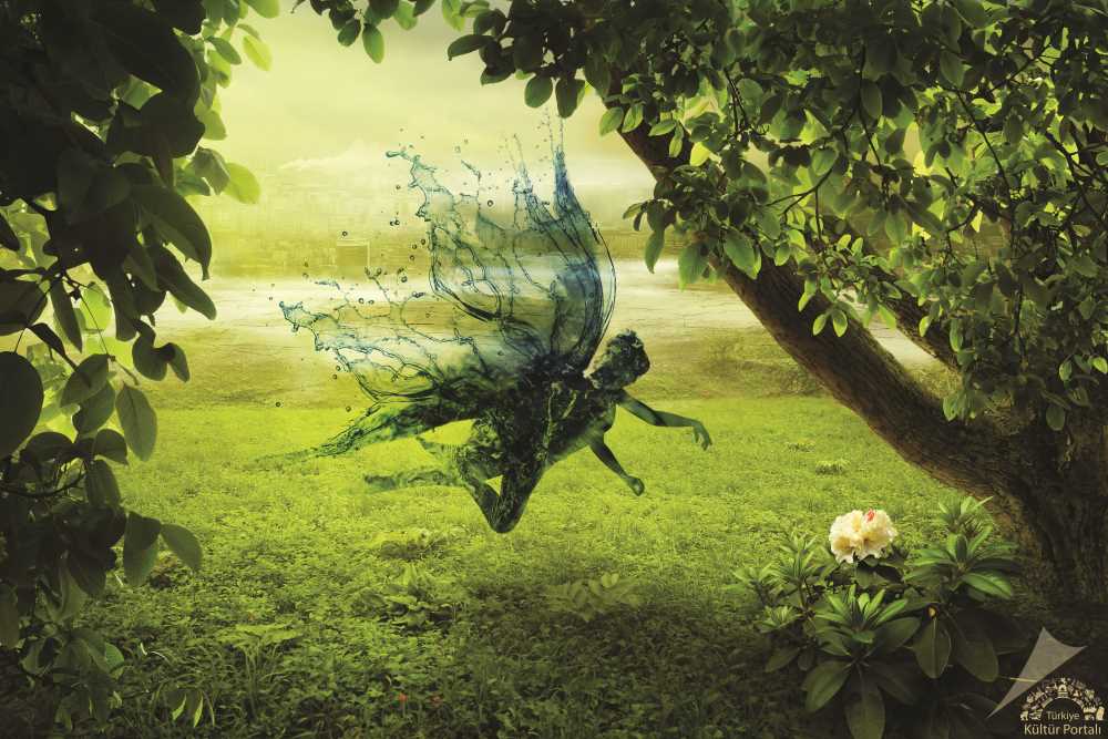 Melek - Kültür Portalı - Medya Kütüphanesi