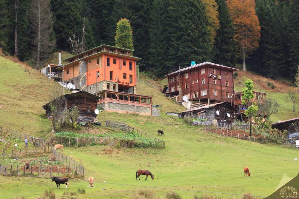 Rize - Türkiye Kültür Portalı