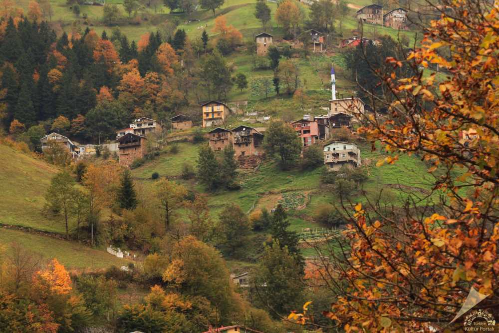 Rize - Türkiye Kültür Portalı