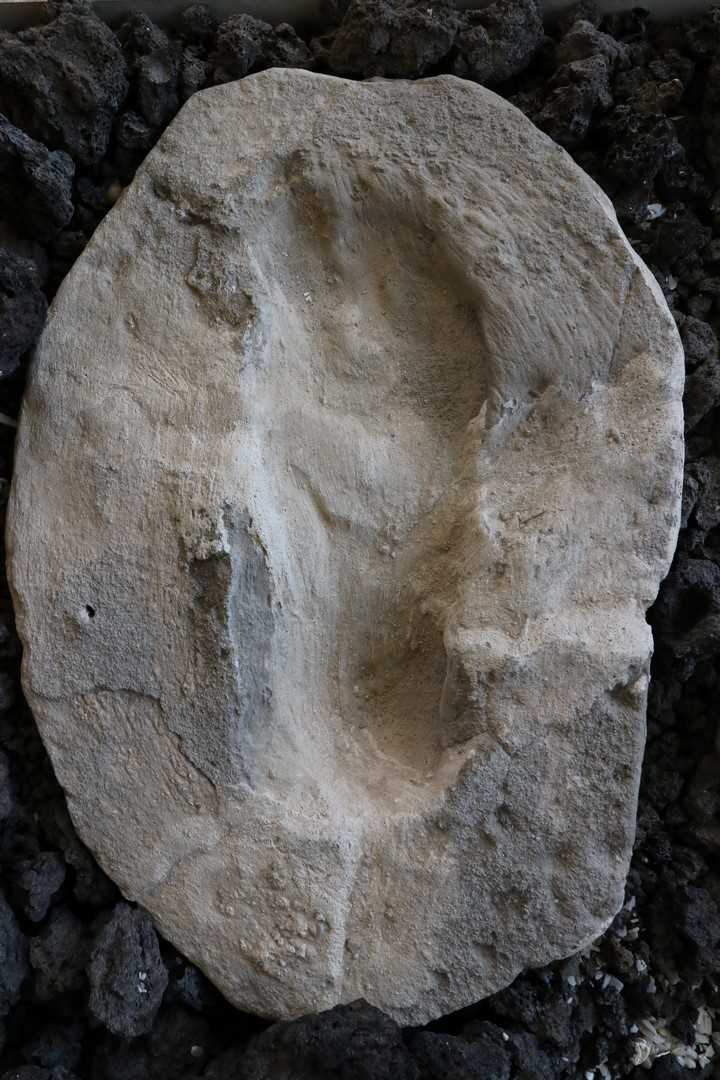 ilk insan ayak izi görsel sahibi ceyhun tütüncü