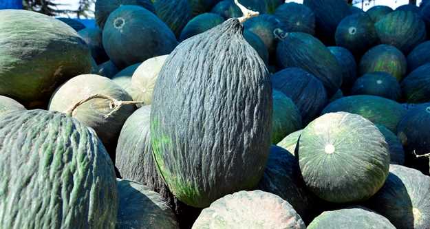 kazan kavunu görsel sahibi ankara il kültür ve turizm müdürlüğü