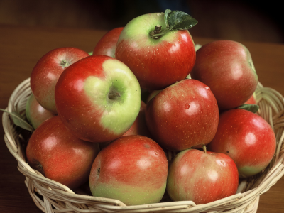 AMASYA MİSKET ELMASI | Kültür Portalı