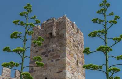Çandarlı